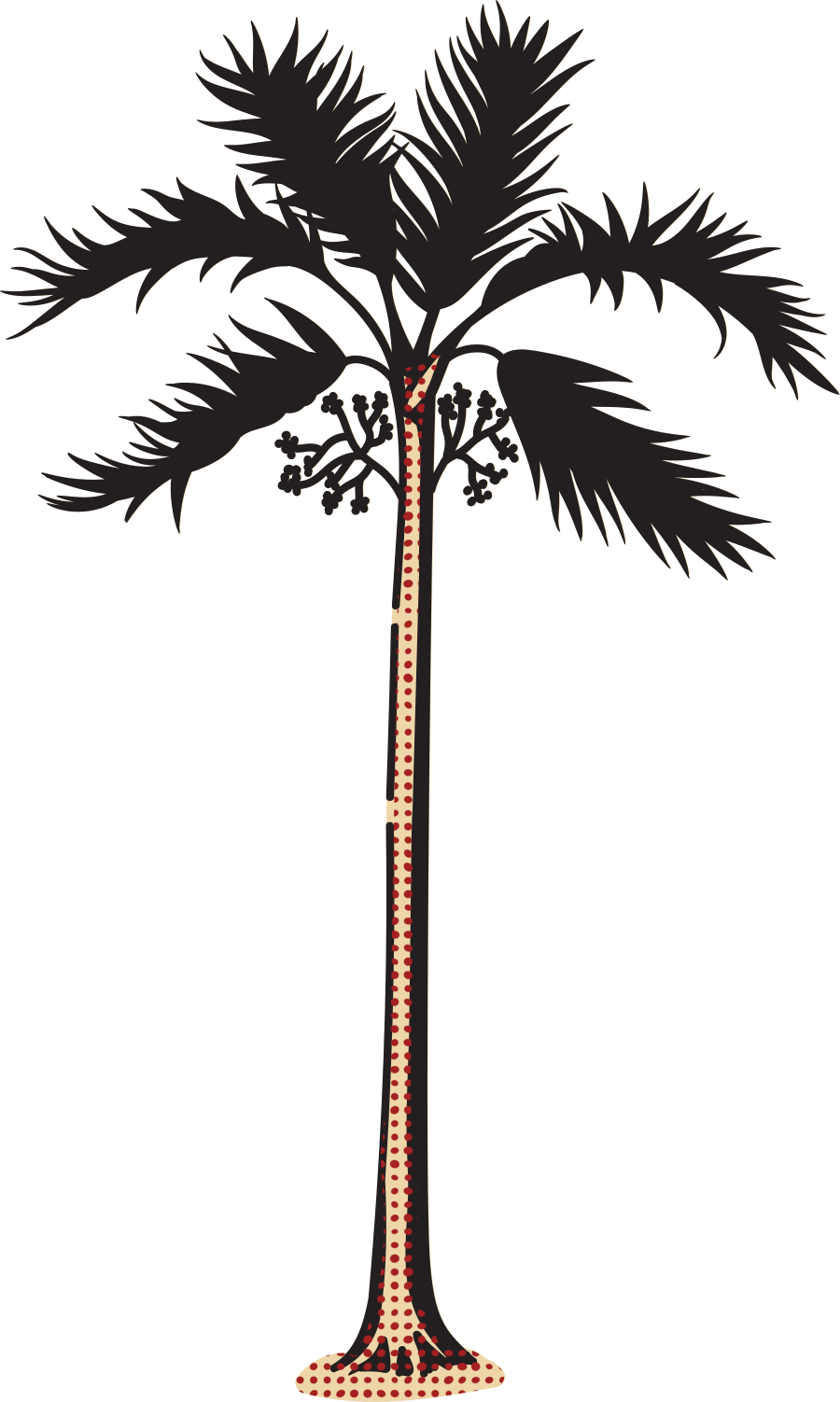 palm - FORMOSA TRAIL